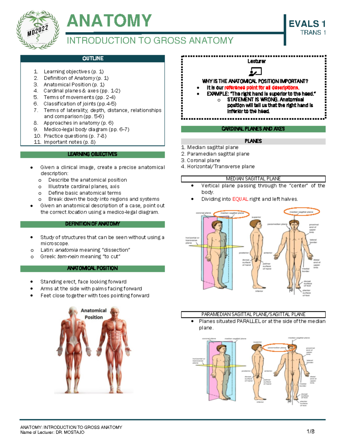 ANATOMY 101: Intro to Gross Anatomy - Key Concepts & Learning Guide ...
