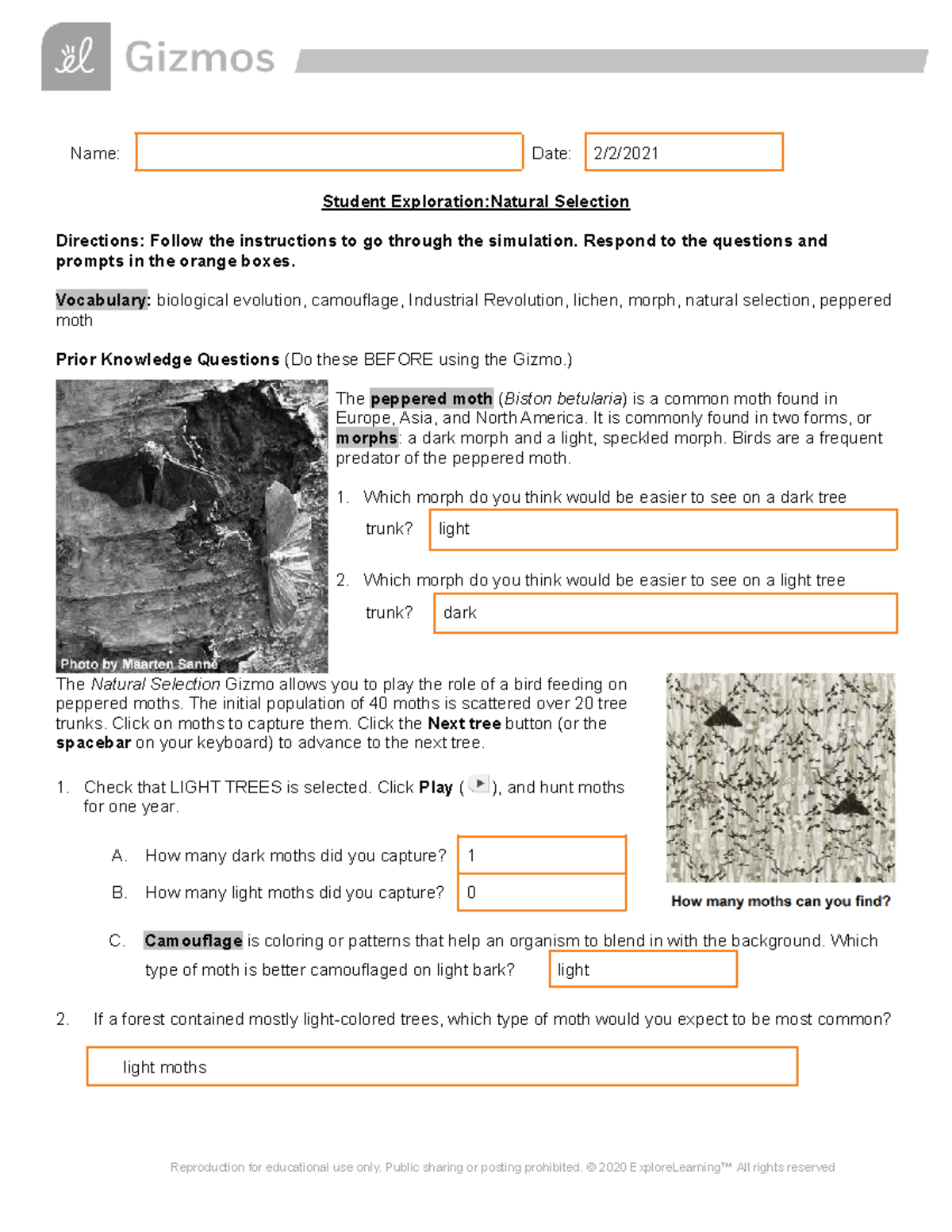 Natural Selection Simulation Activity - Biology SE - Studocu