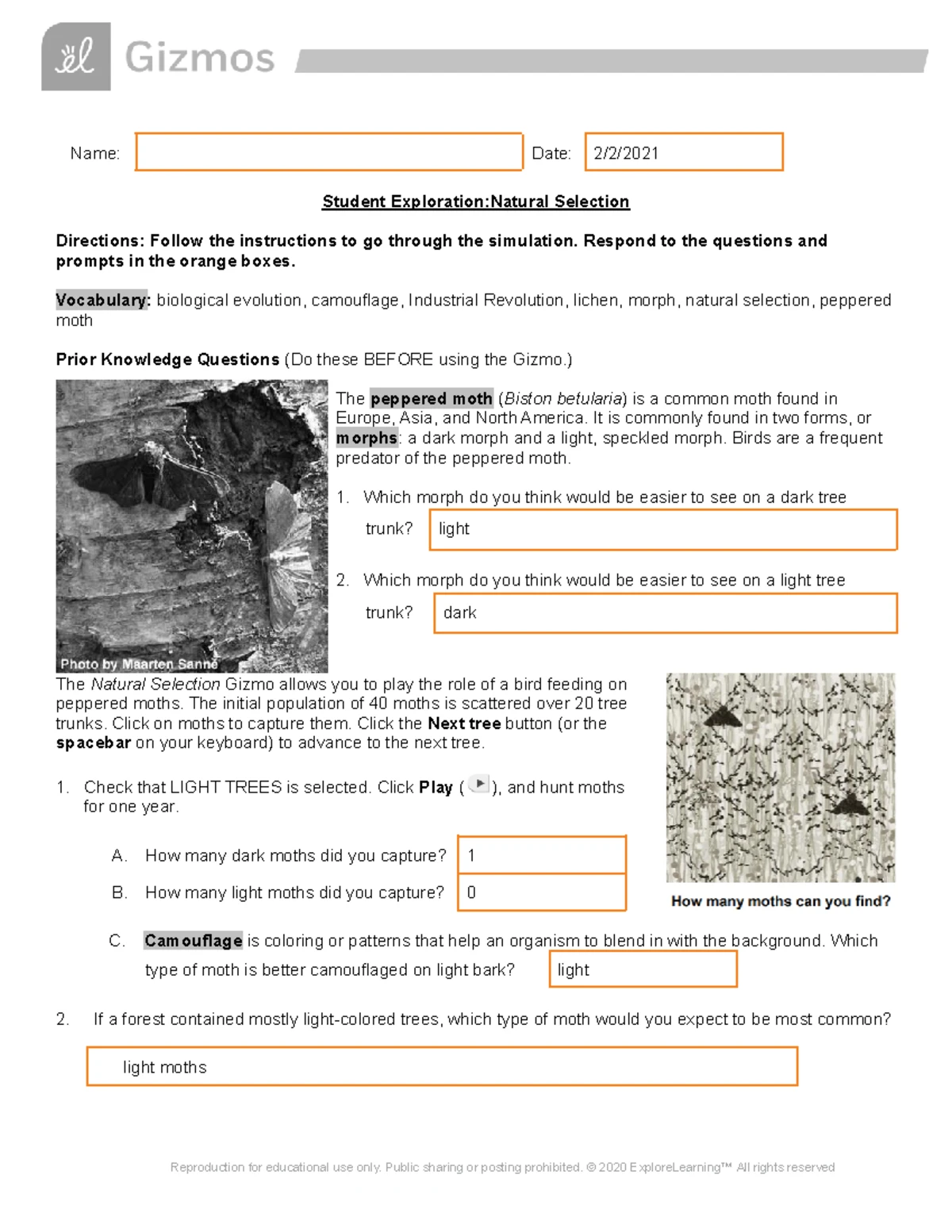 Student Experiment Report Guide: Structure & Key Elements - Studocu