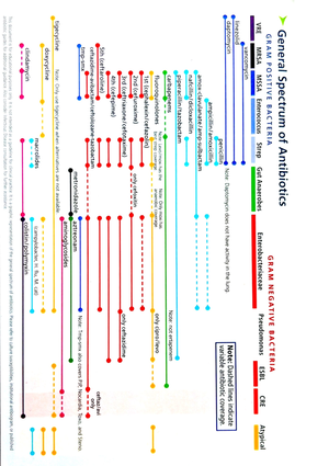 Aerobic Gram Negative Rods Flowchart 508 - Aerobic Gram-Negative Rods ...