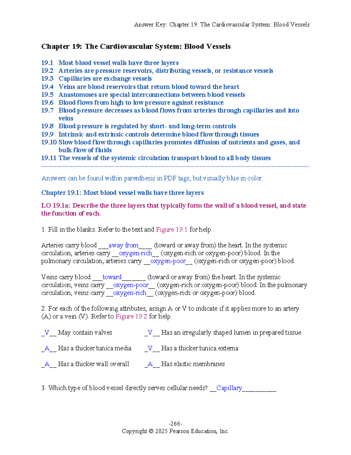 Answer Key: Chapter 19 (CVS): Blood Vessels Practice Questions - Studocu