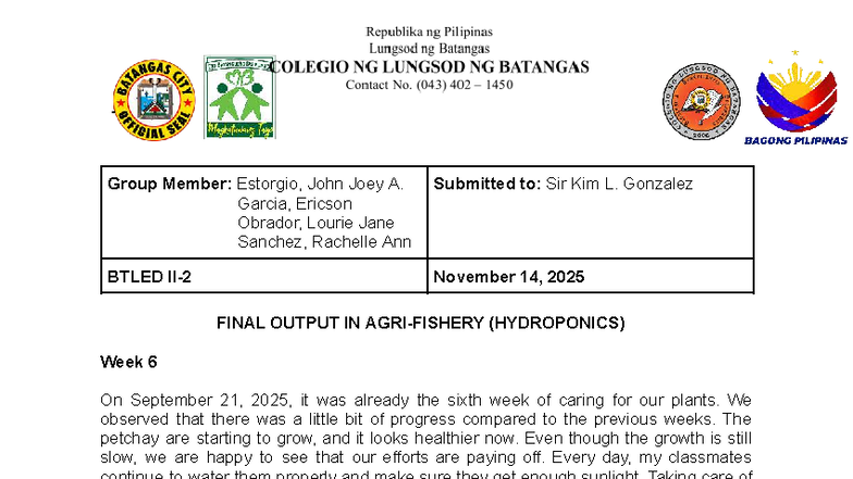 Narrative-Report - need if you in SPES in batangas - Group Member ...