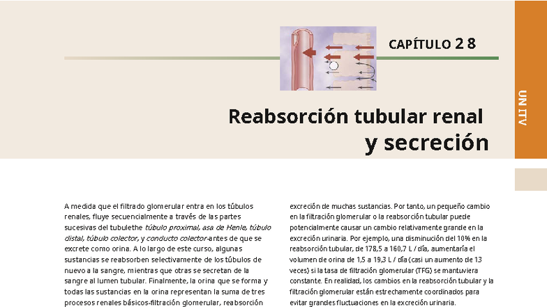 CAPÍTULO 28: Reabsorción y Secreción Tubular Renal en Fisiología - Studocu