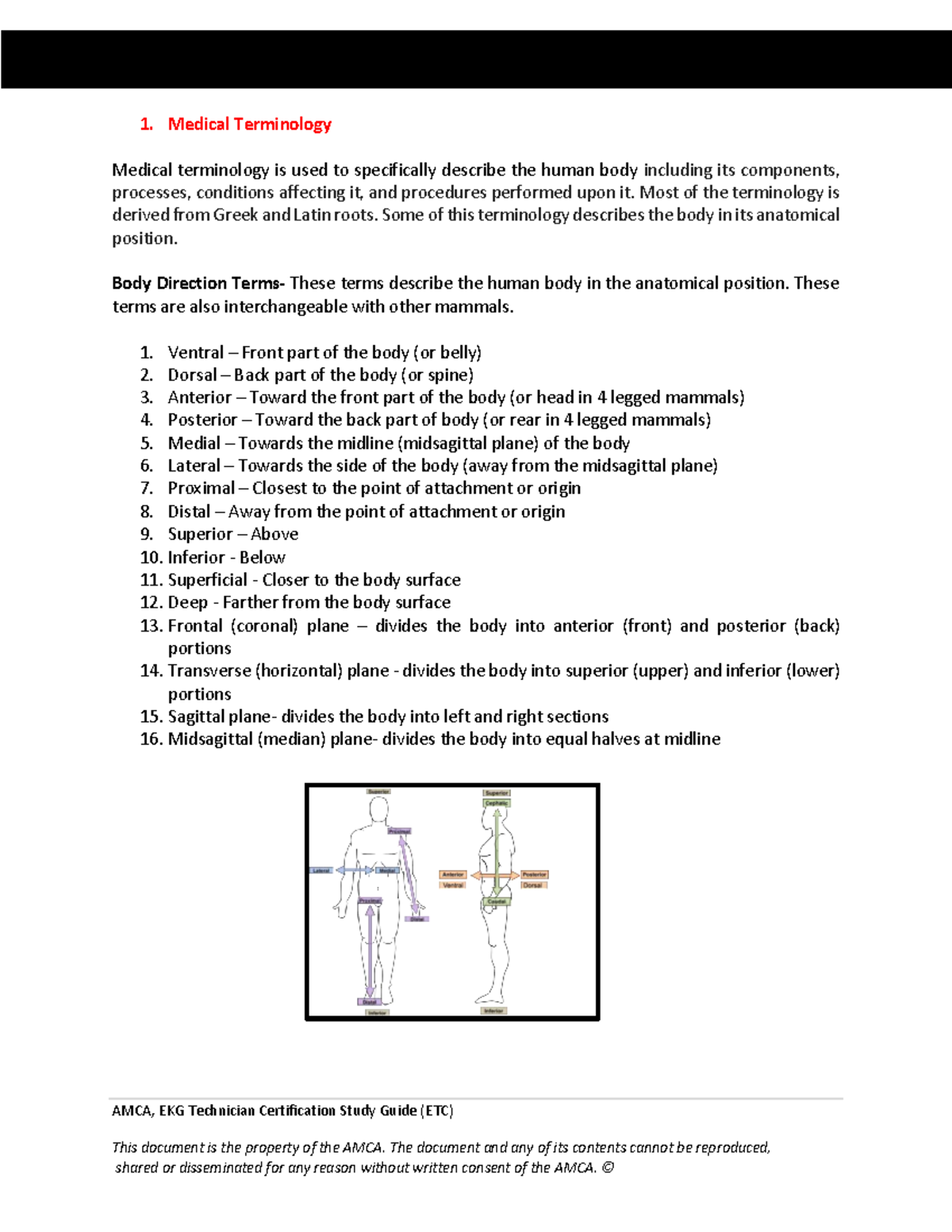 AMCA EKG Technician Certification Study Guide: Key Dysrhythmias ...
