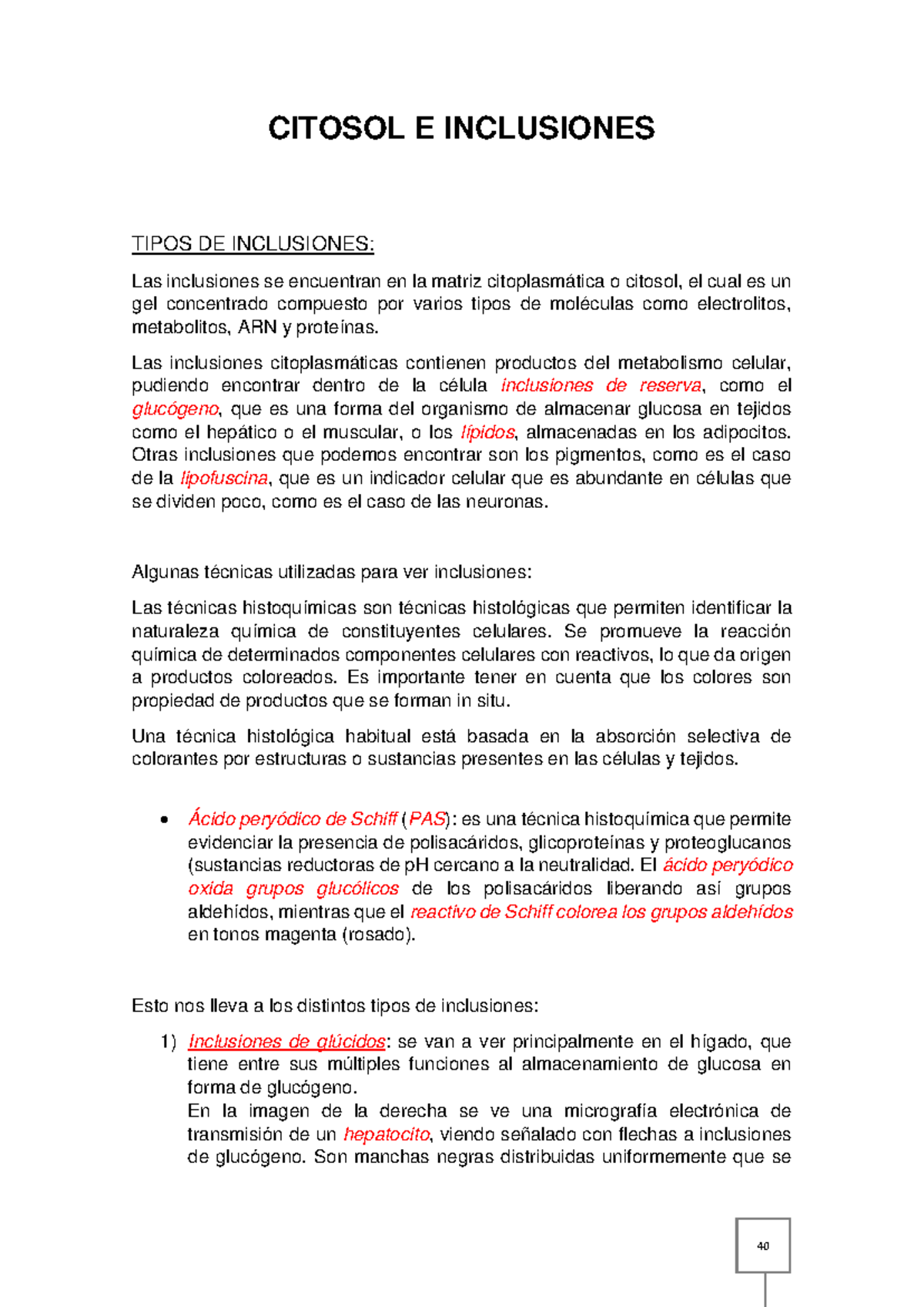 CITOSOL Y TIPOS DE INCLUSIONES: Apuntes TEMA 4 - Biología Celular - Studocu