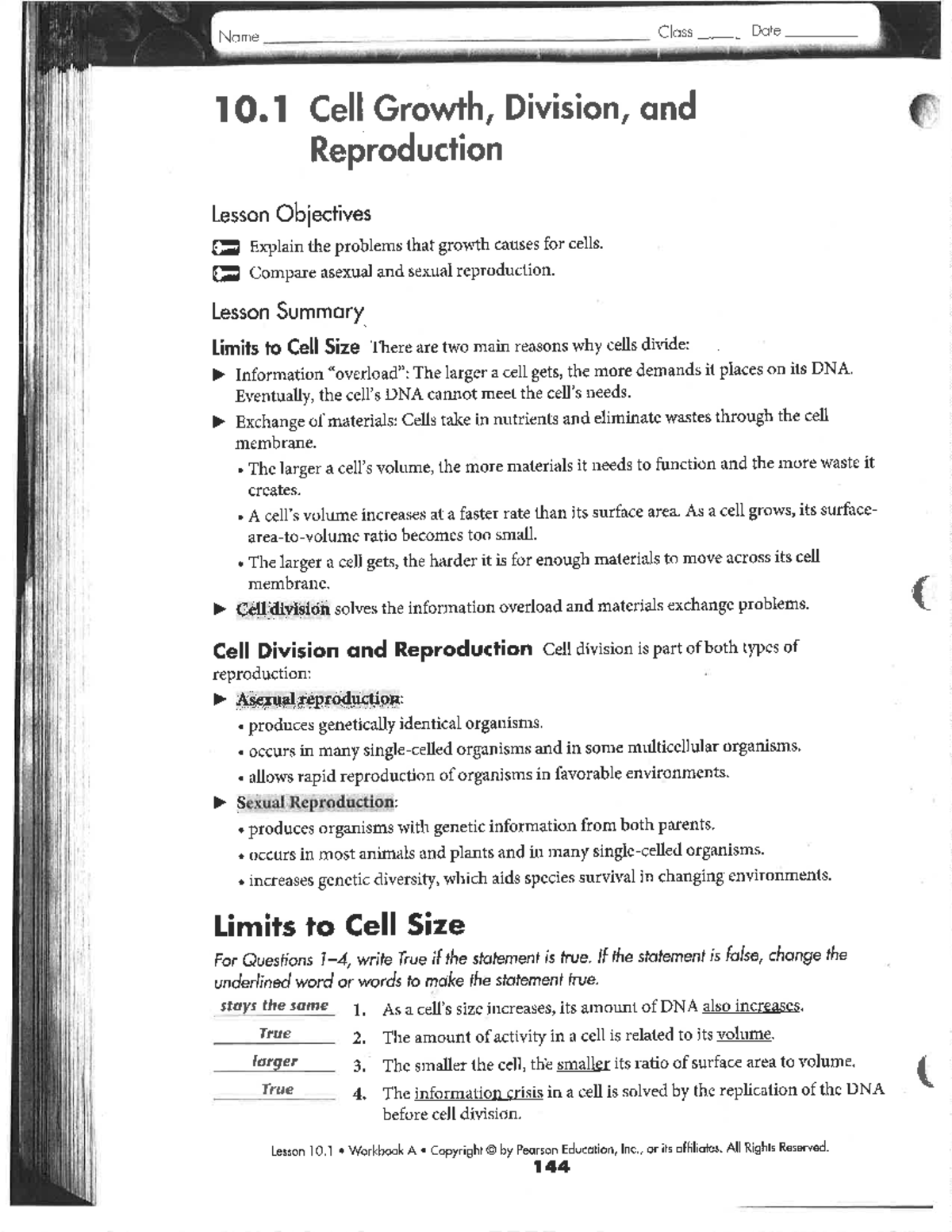 Mitosis and Meiosis Study Guide with Answer Keys (10th Grade) - Studocu