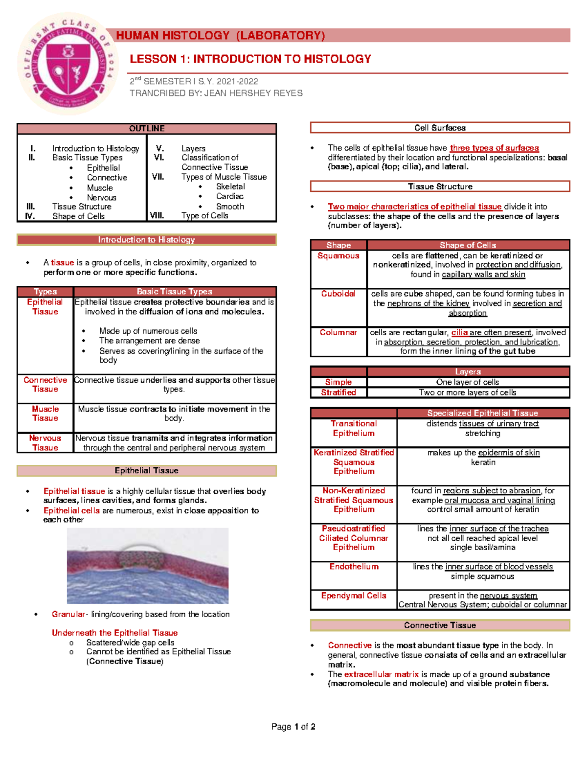 Lab 1: Intro to Histology - Tissue Types & Structures Overview - Studocu