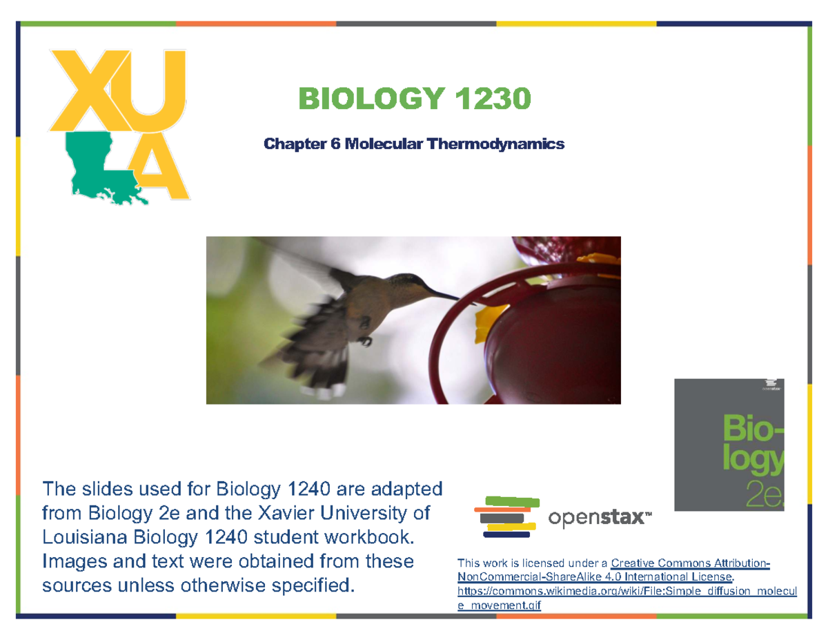 Biology 1230: Chapter 6 - Molecular Thermodynamics & Metabolism - Studocu