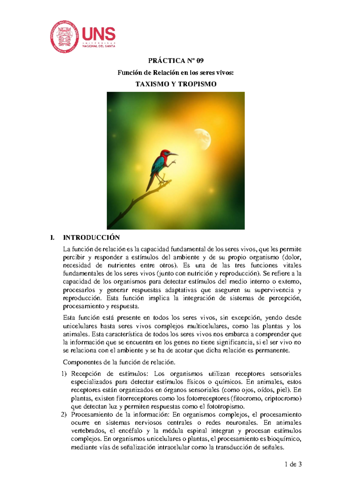 PRÁCTICA Nº 09: Función de Relación - Taxismo y Tropismo en Seres Vivos ...