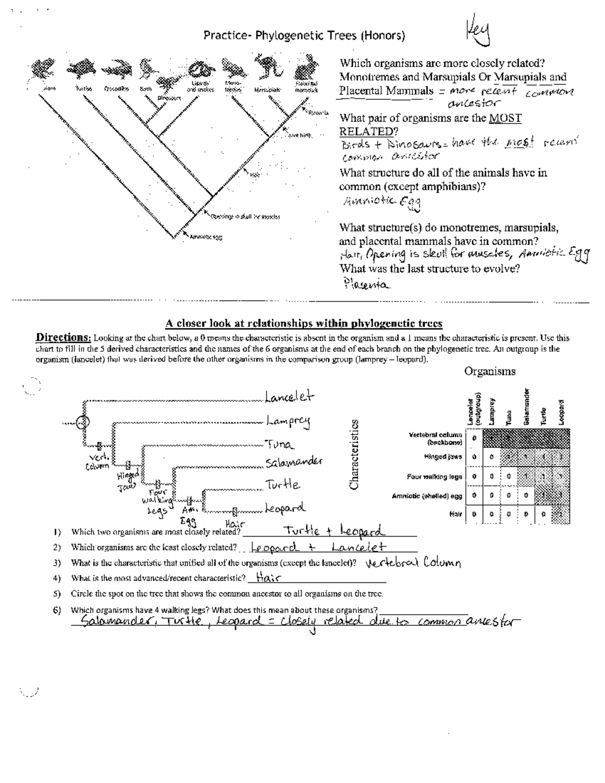 Comprehensive Study Guide for Course XYZ: Phylogenetic Trees Analysis - Studocu