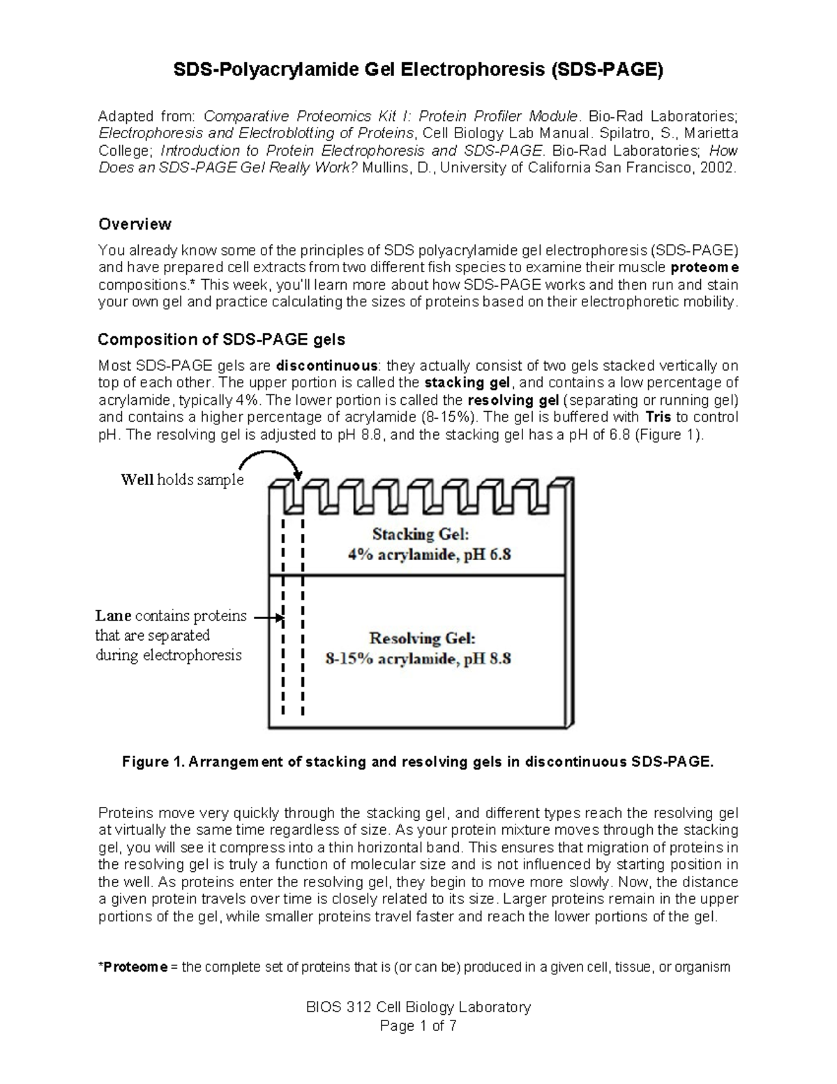 SDS-PAGE Protocol & Data Analysis: BIOS 312 Cell Bio Lab Guide - Studocu