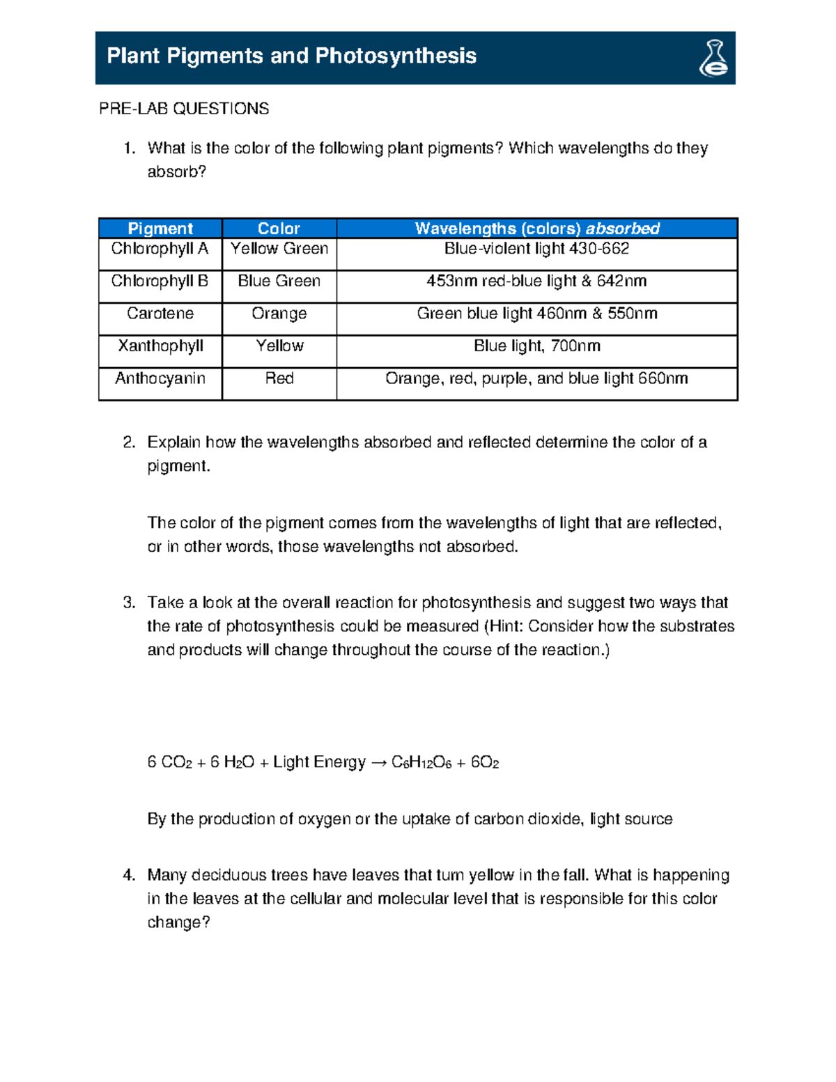 IB 1201 L13 Plant Pigments and Photosynthesis Study Guide - Studocu
