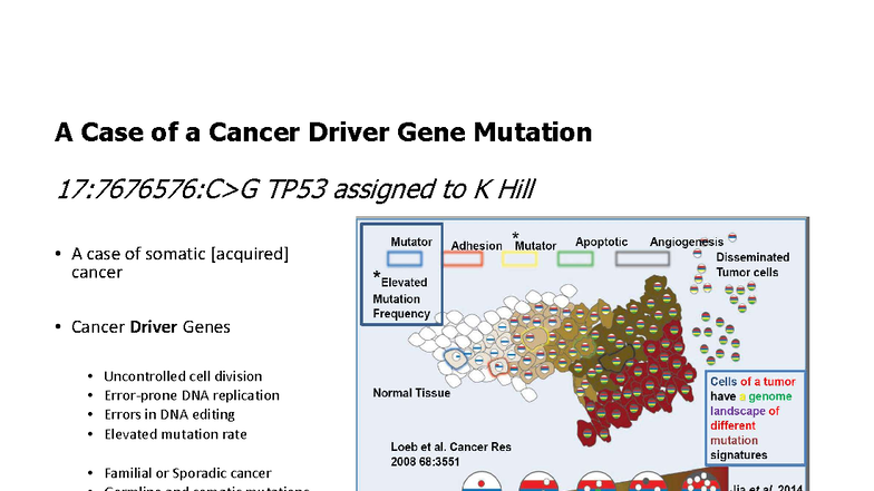 Genetics Oct 29 Lecture: Case Study on TP53 Cancer Driver Mutation ...