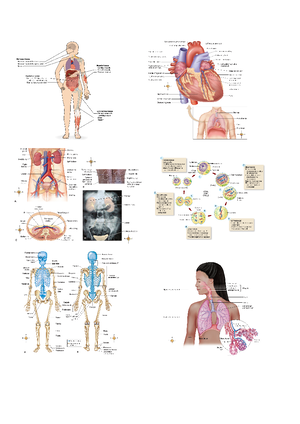 [Solved] what is the function of Secondary line piggyback line ...