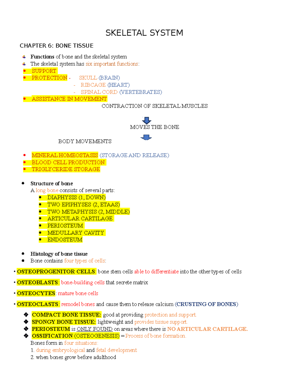 Skeletal- System - SKELETAL SYSTEM CHAPTER 6: BONE TISSUE Functions of ...