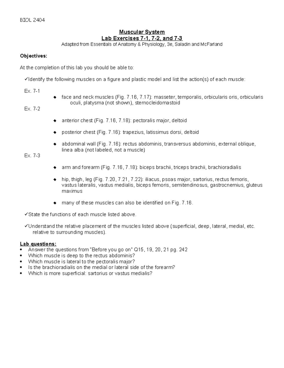 BIOL 2404 Muscular System Lab Exercises: Identifying Key Muscles - Studocu