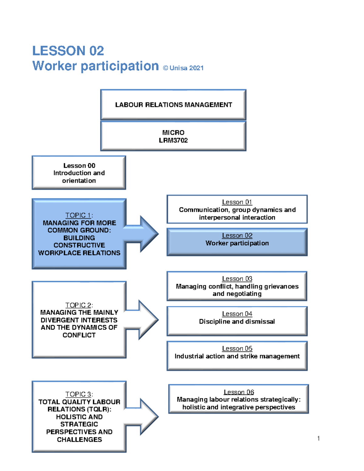 LRM3702 Lesson 02: Overview of Worker Participation in Labour Relations ...