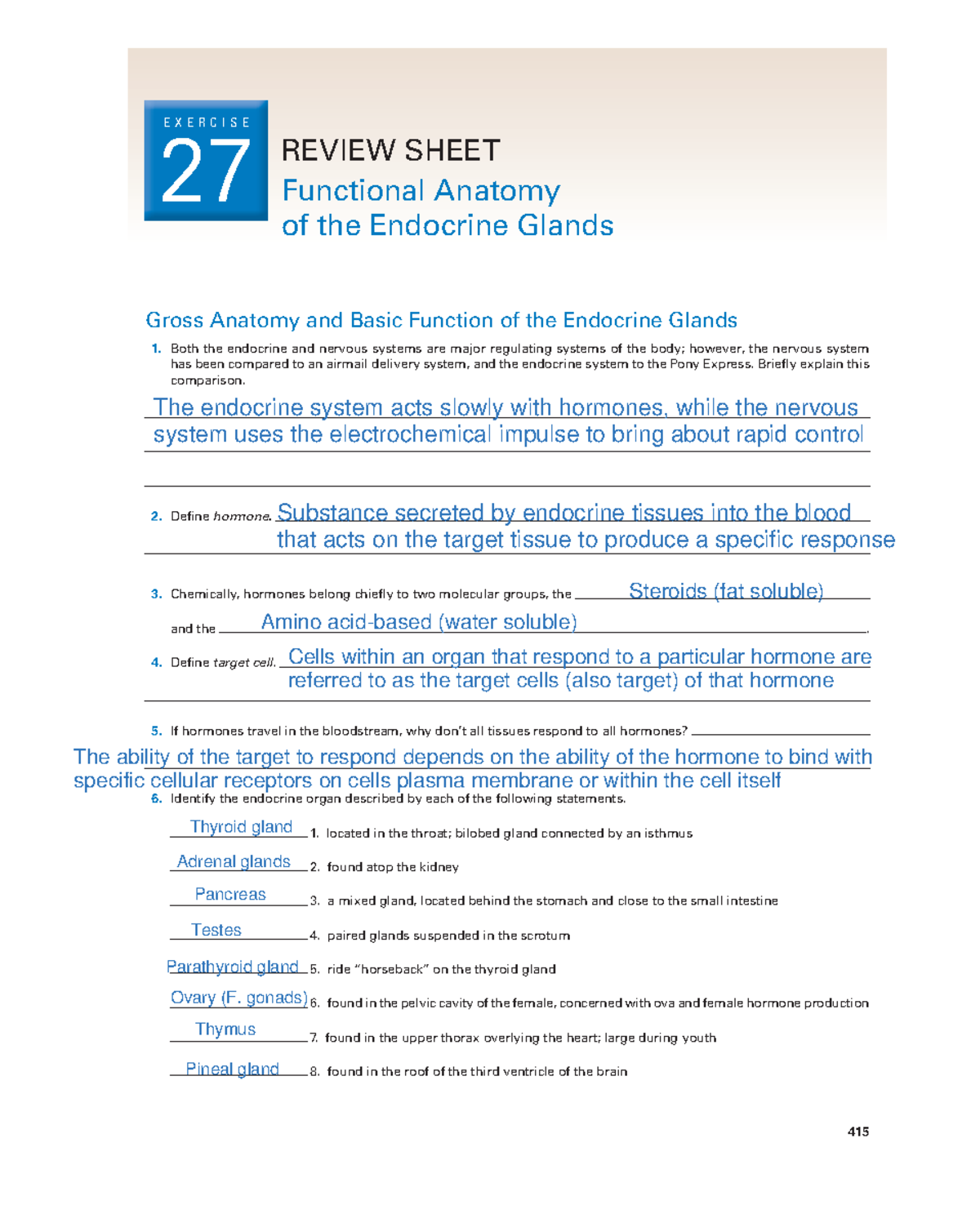 Ex27 Endoctrine BIO227 - 415415 E X E R C I S E 27 Gross Anatomy and ...