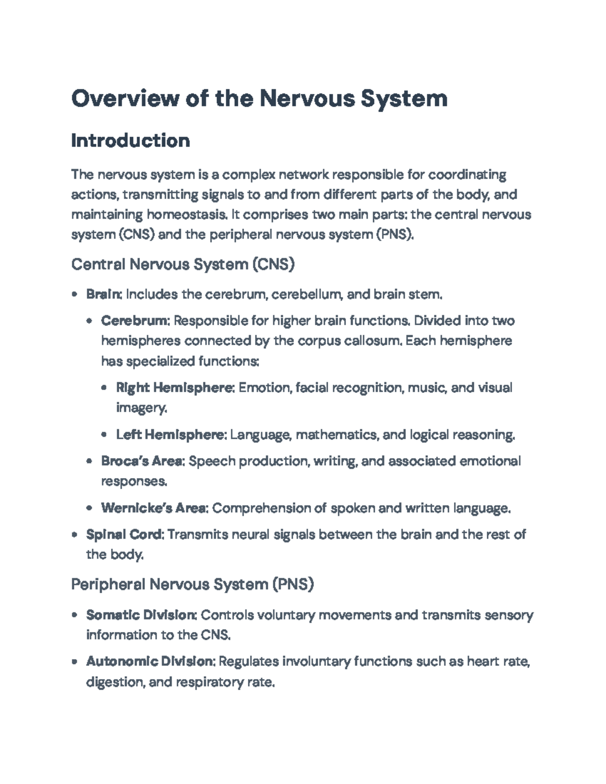 Overview of the Nervous System - Structure and Function Analysis - Overview of the Nervous ...