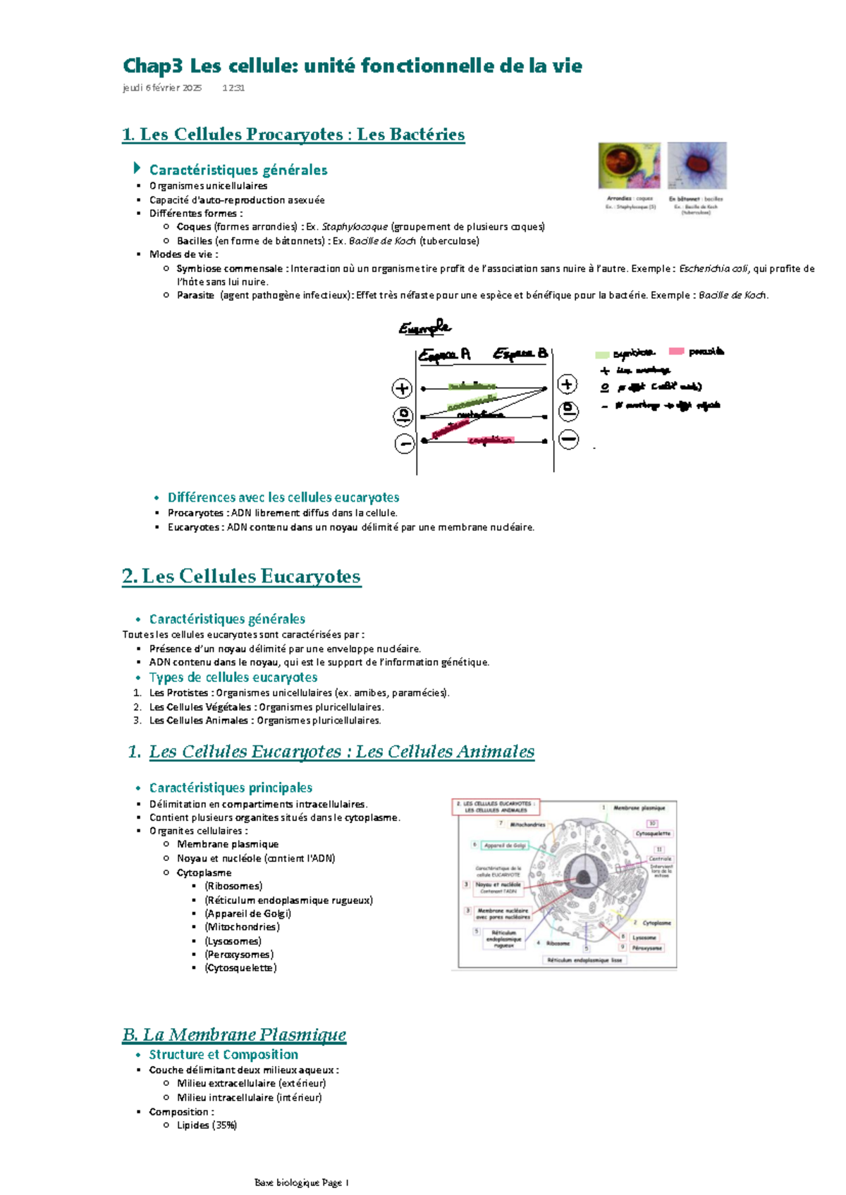 Chapitre 3 : Les Cellules, Unité Fonctionnelle de la Vie - Studocu
