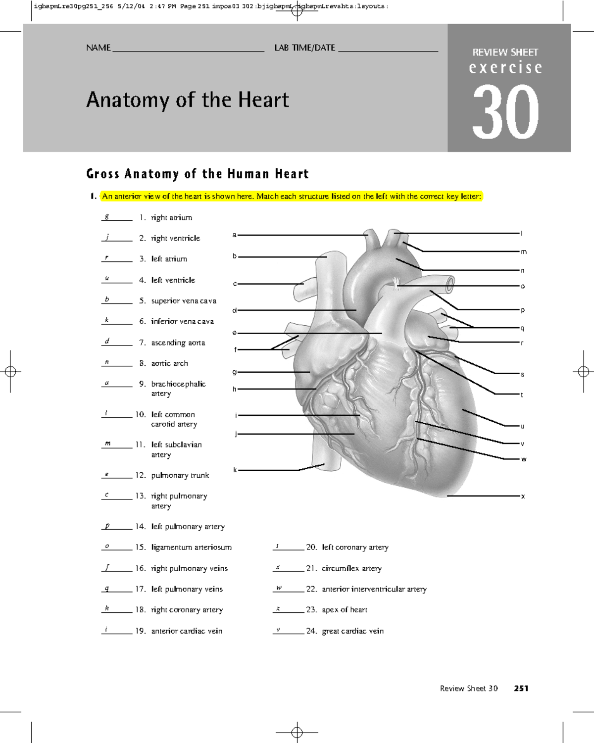 Exercises 30: Anatomy of the Heart Review Sheet - Studocu