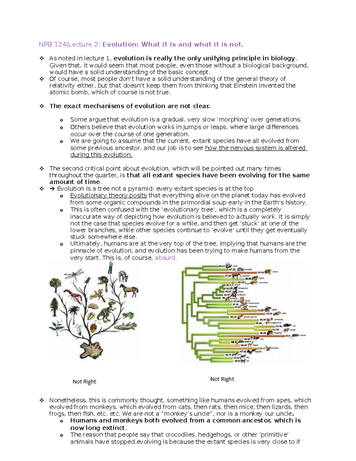 NPB 124: Evolution Lecture 02 Notes on Mechanisms and Constraints - Studocu