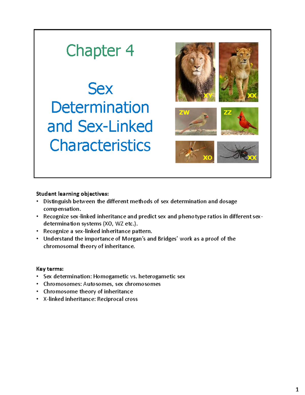 Genetics Chapter 4: Sex Determination & Inheritance Patterns - Studocu