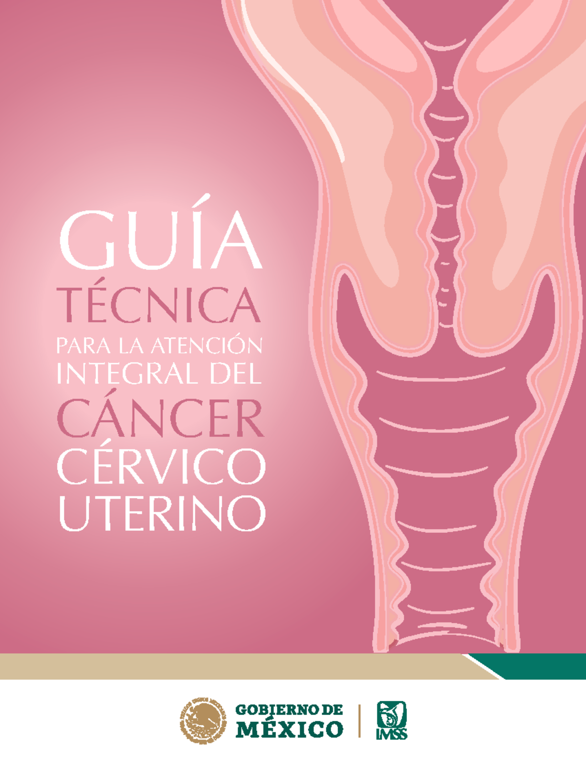 Guía Técnica CACU 3 Final para la Atención Integral del Cáncer Cérvico Uterino - Studocu
