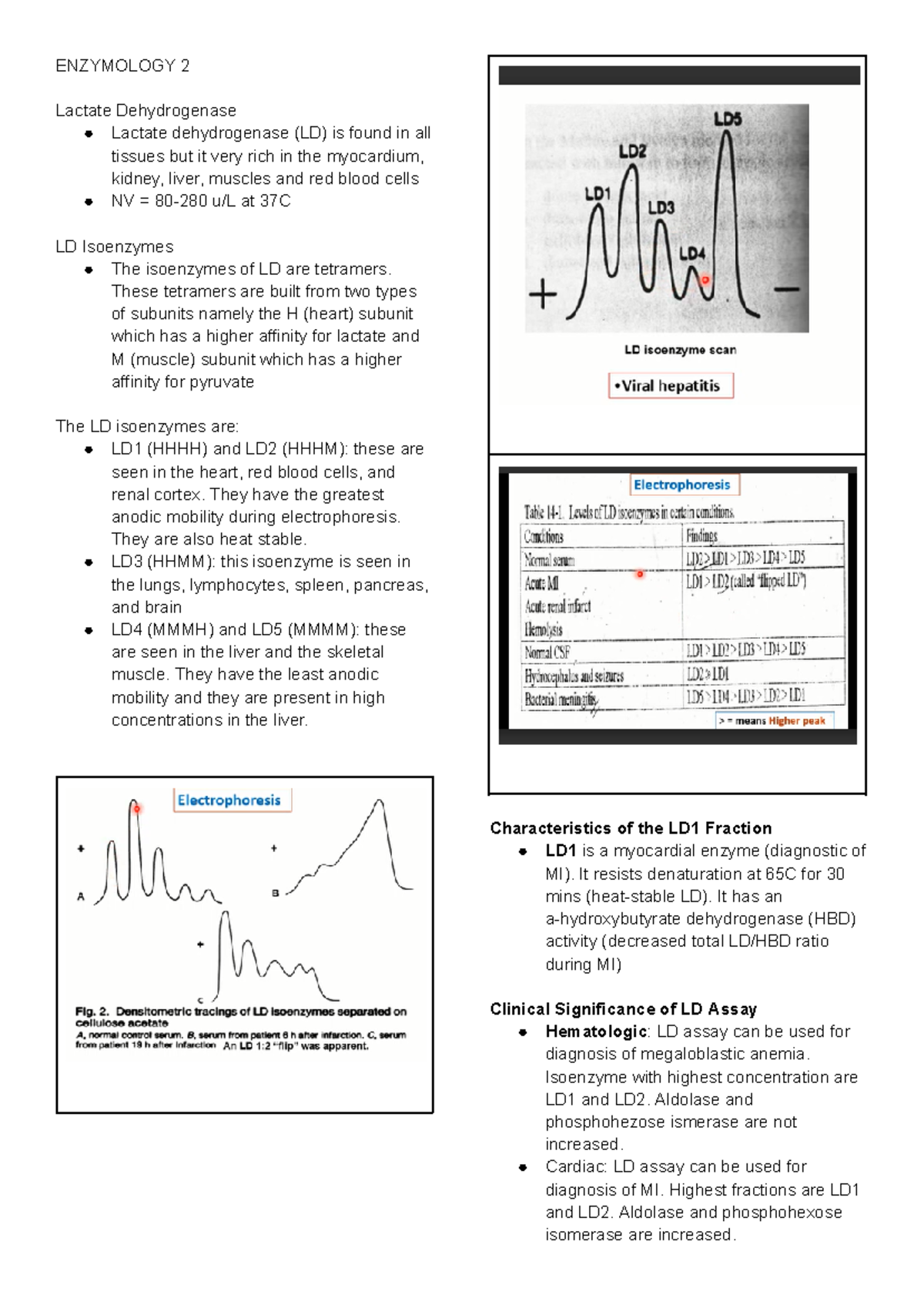CC LEC Enzymology: Insights on Lactate Dehydrogenase and Assays - Studocu