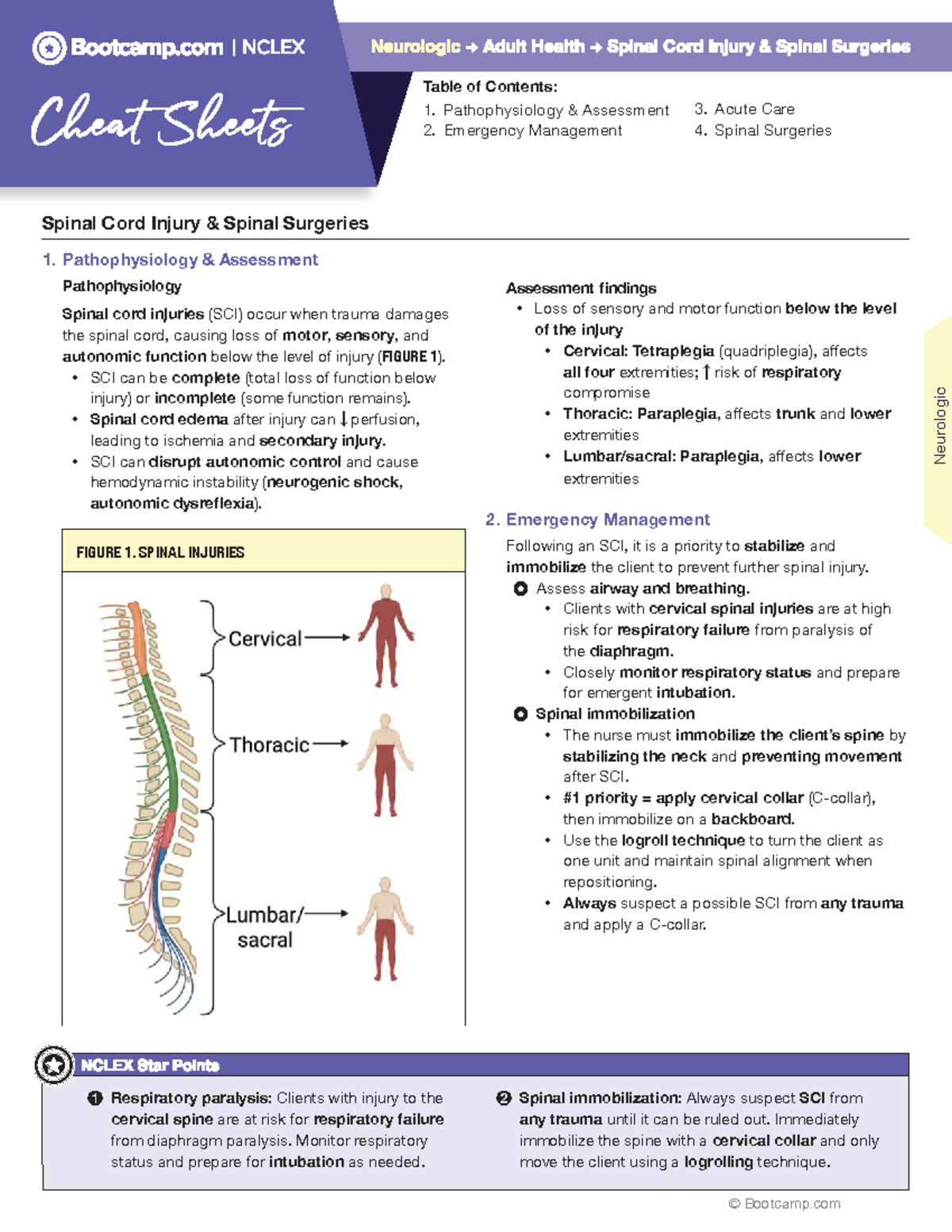 Spinal Cord Injury & Spinal Surgeries Cheat Sheet: Key Assessments ...