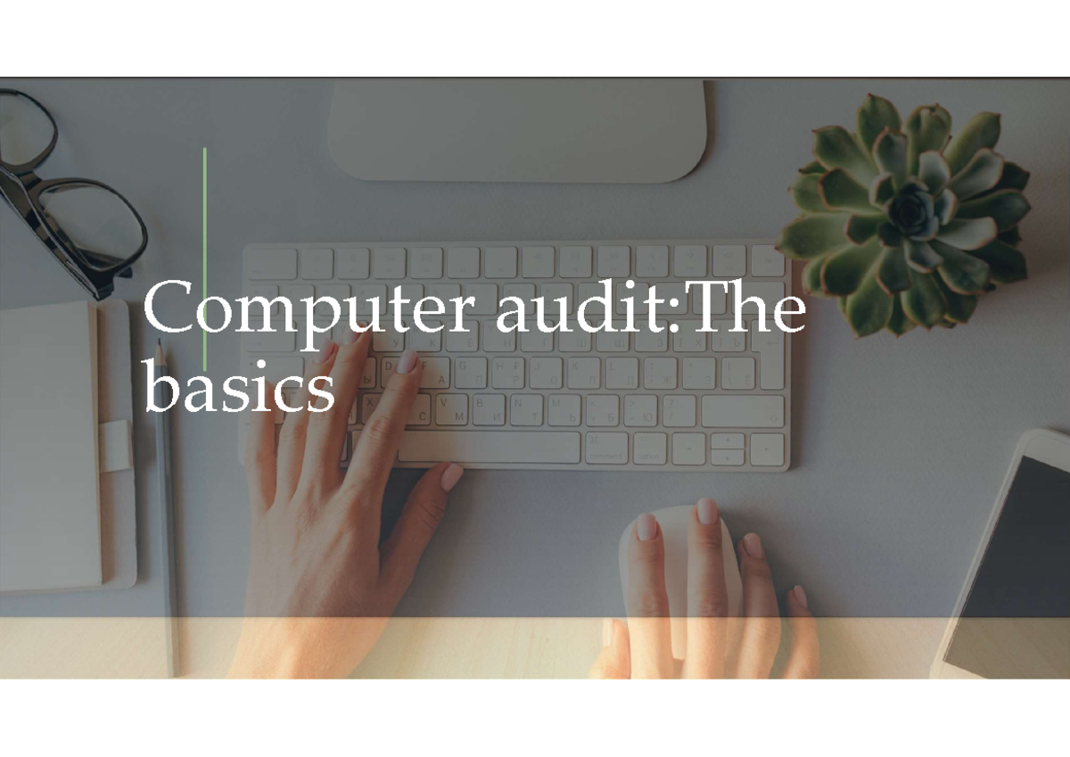 Computer Audit Basics: Lecture 1 Overview & Key Concepts - Studocu