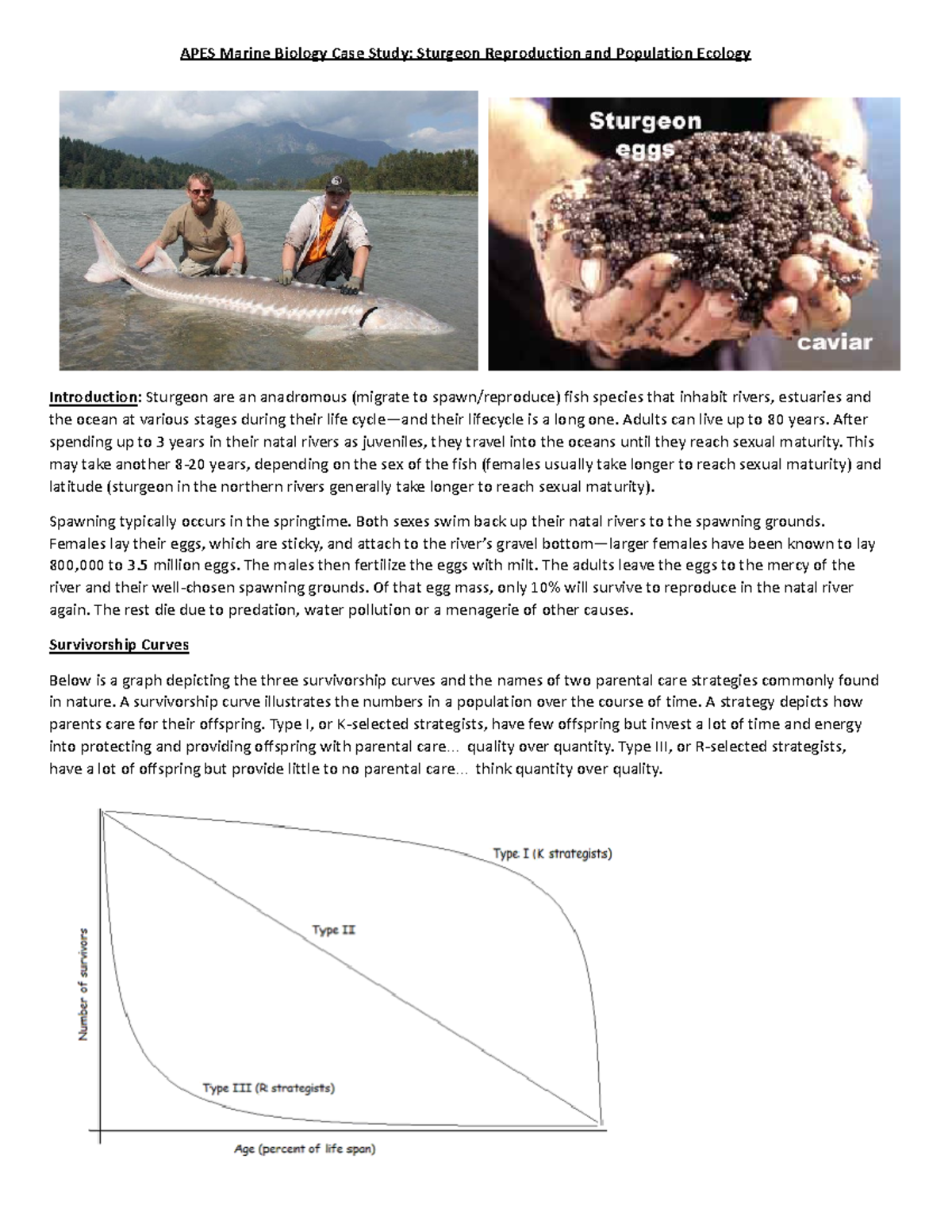 APES Marine Biology Case Study: Sturgeon Reproductive Strategies - Studocu