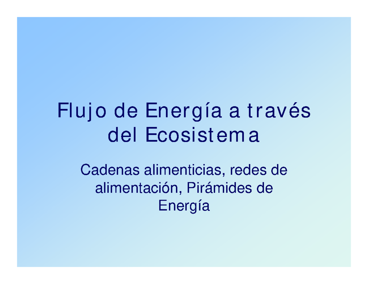 1. Flujo energia - Flujo de Energía a través del Ecosistema Cadenas ...