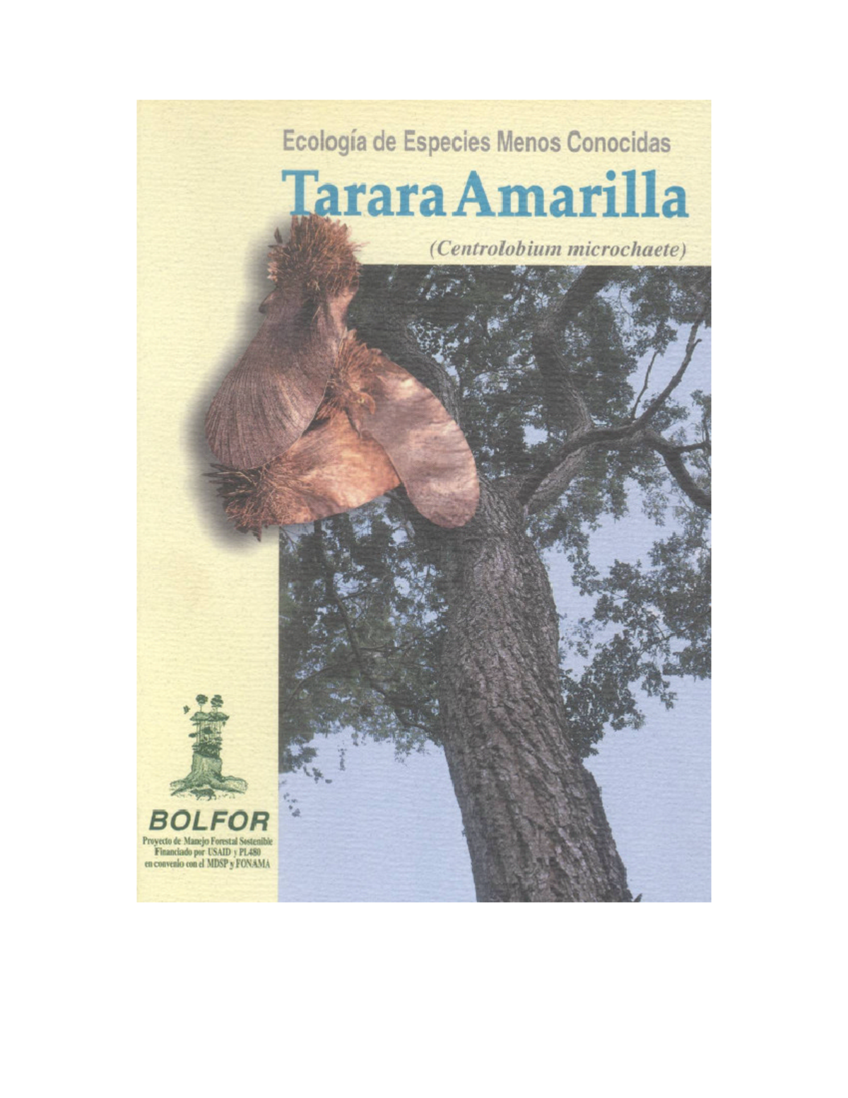 Ecología y Silvicultura de la Tarara Amarilla (Centrolobium microchaete ...