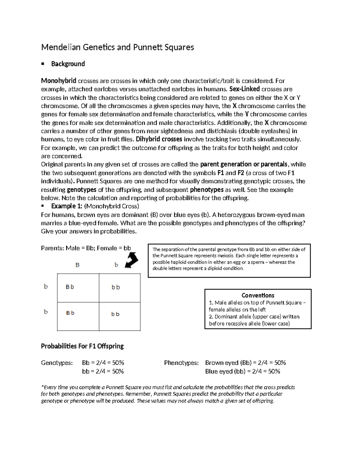 Mendelian Genetics & Punnett Squares: Key Concepts and Examples - Studocu