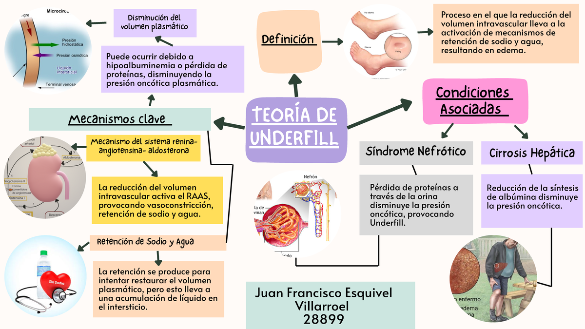 Teoría de Underfill y su Mecanismo en el Sistema Renina-Angiotensina ...