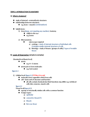 UM Course Outline Anatomy BN Fall 2024 final - Course Outline ...