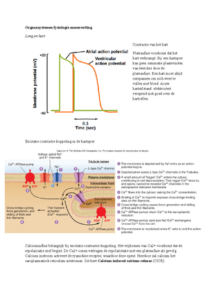 anatomie van het borstholte en buikholte - 1 Geef de quadranten aan van ...