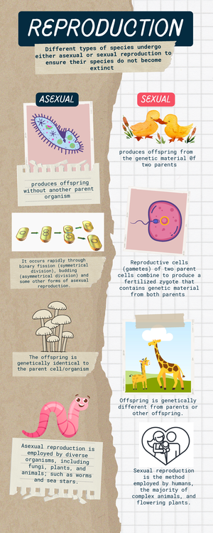 Practice Exam Questions for Class 12: Evolution of the Sexes - Practice Exam Questions These ...