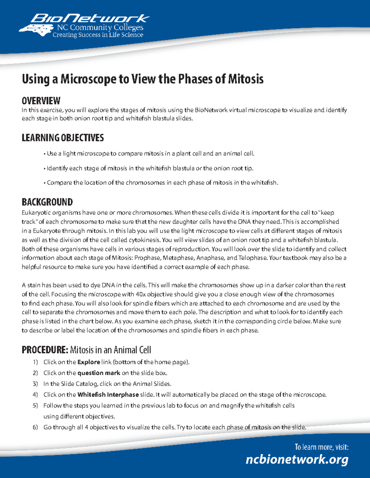 EFM 101: Exploring Mitosis Phases Using a Microscope Lab Guide - Studocu