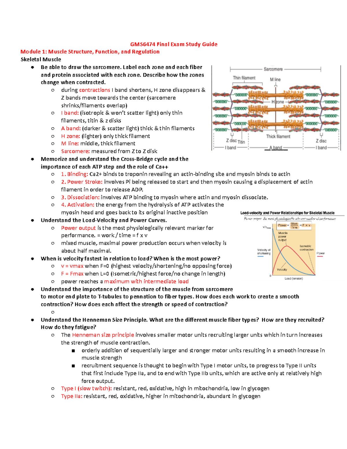 Final Study Guide - GMS6474 Final Exam Study Guide Module 1: Muscle ...