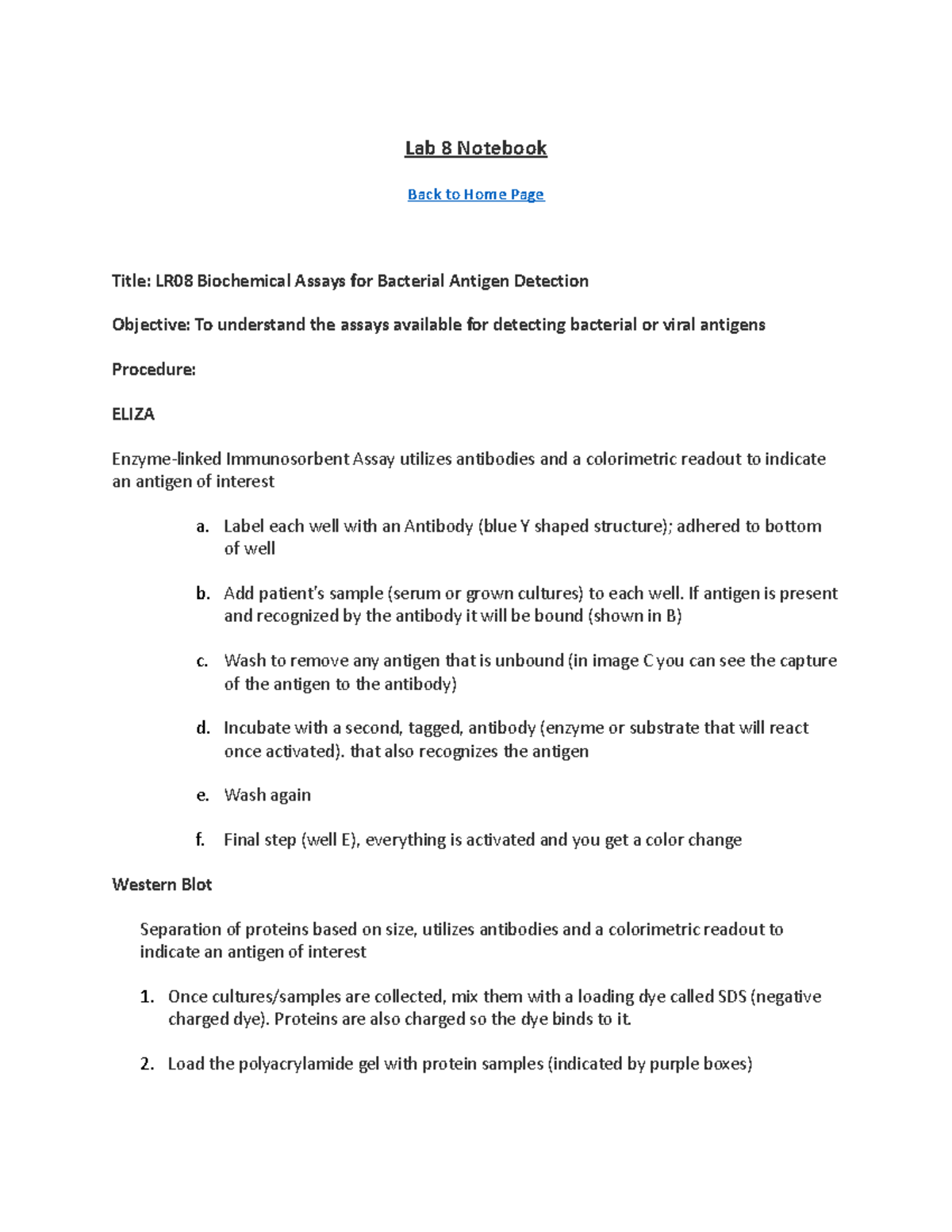 Lab 8 - Biochemical Assays for Bacterial Antigen Detection - Studocu