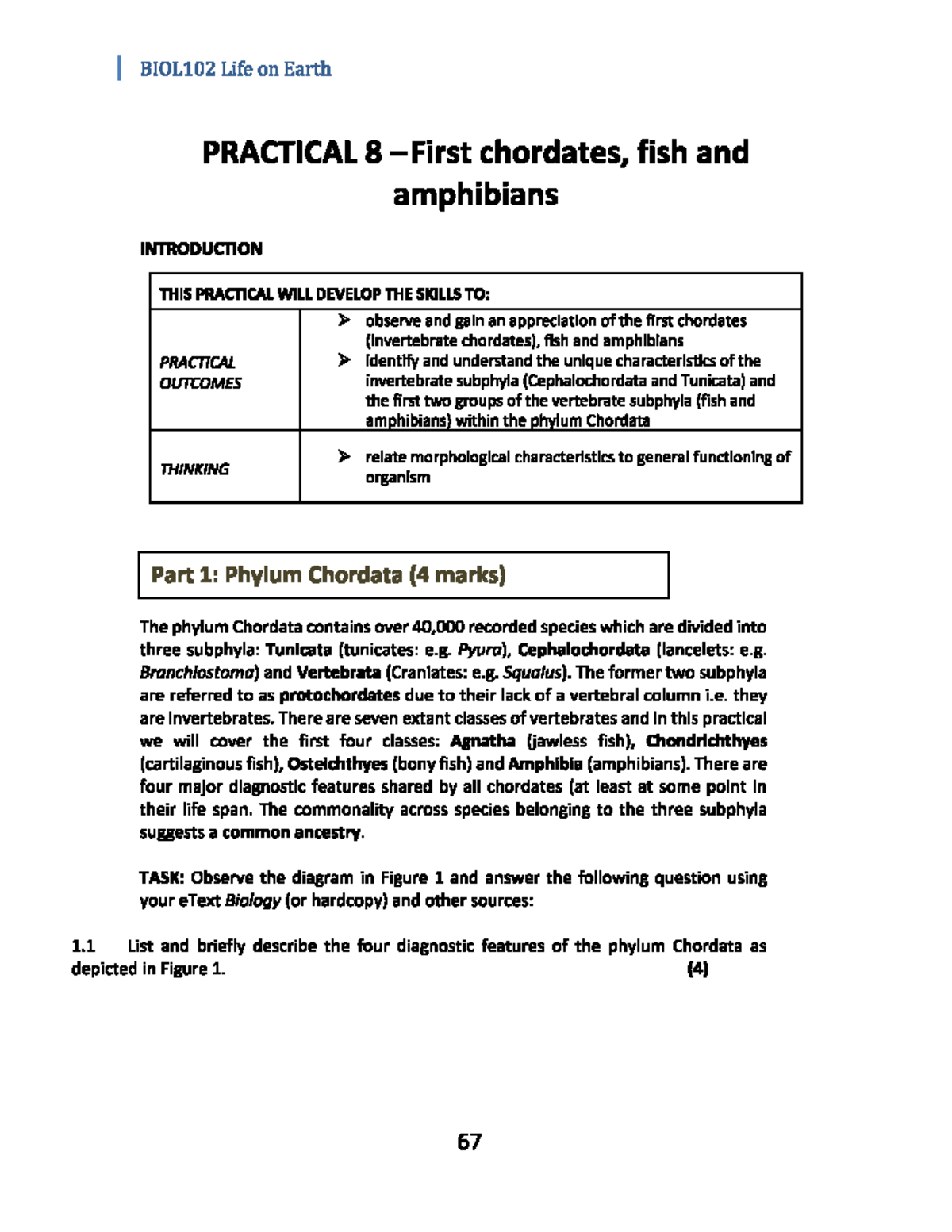 BIOL102 Practical 8 - First Chordates, Fish & Amphibians Overview - Studocu