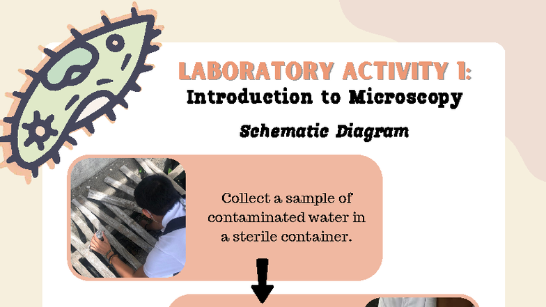 Para Lab - djfjofjrofjrojfjosdj - Introduction to Microscopy Schematic ...