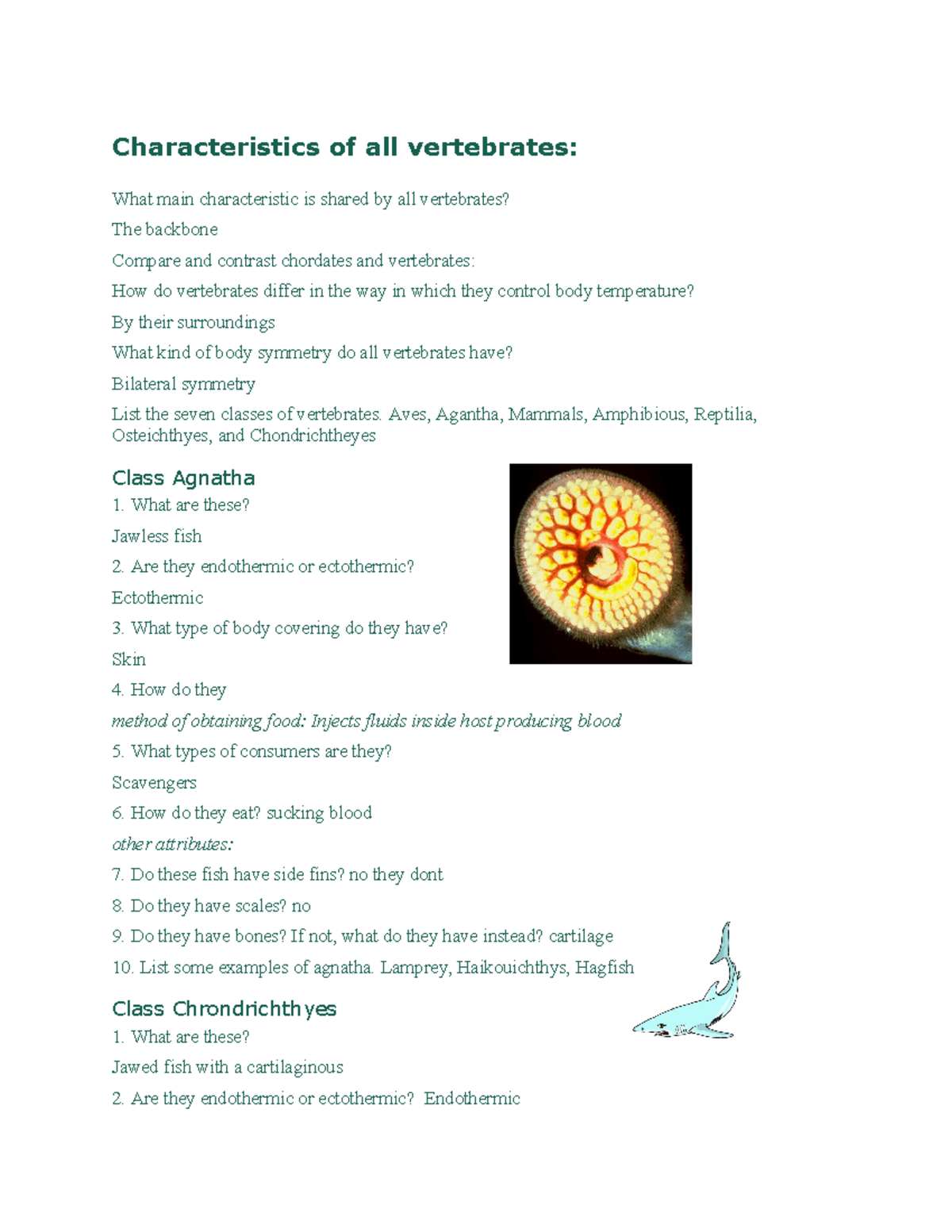 Kevin Alonzo - [Template] Characteristics of all vertebrates ...