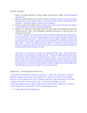 eScience Lab 6: Diffusion - Pre-Lab Questions A concentration gradient ...