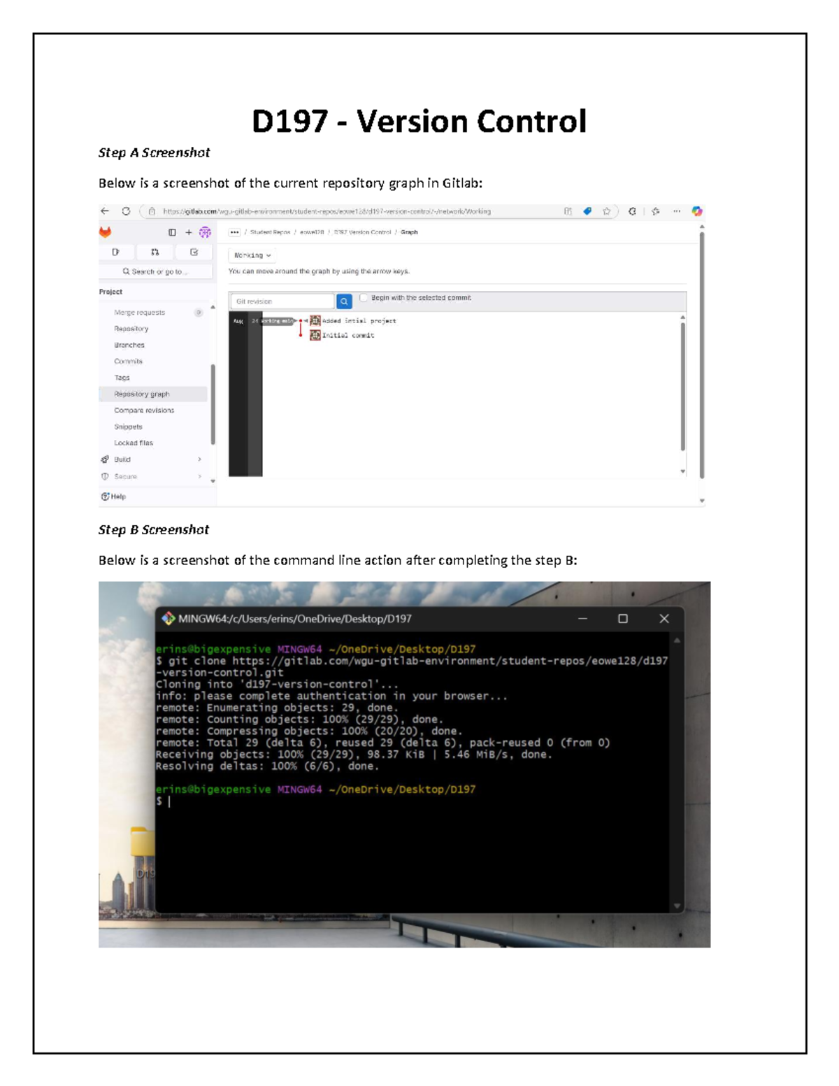 D197 Version Control Process: Step-by-Step Guide - Studocu