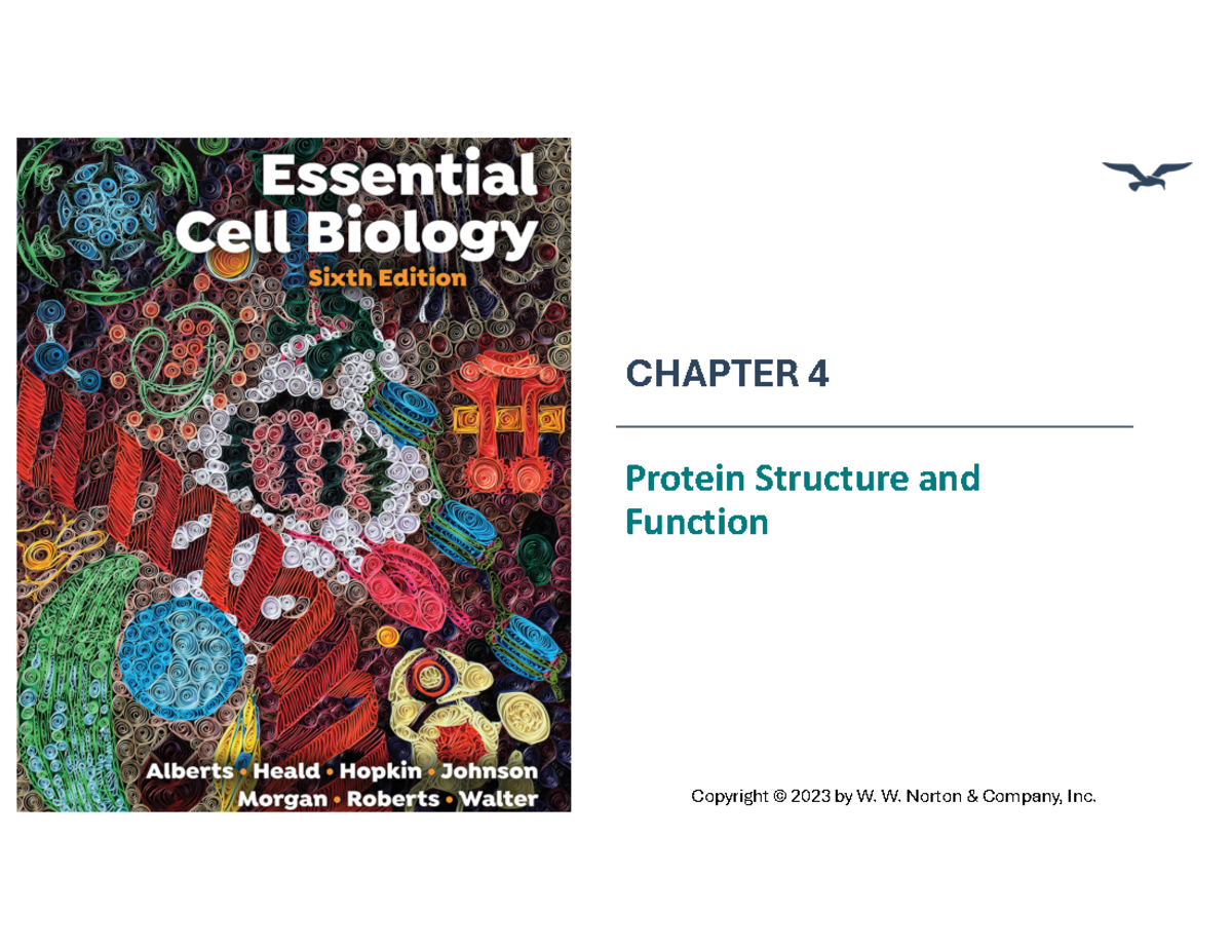 Protein Structure And Function Chapter 4 Study Notes Course Code