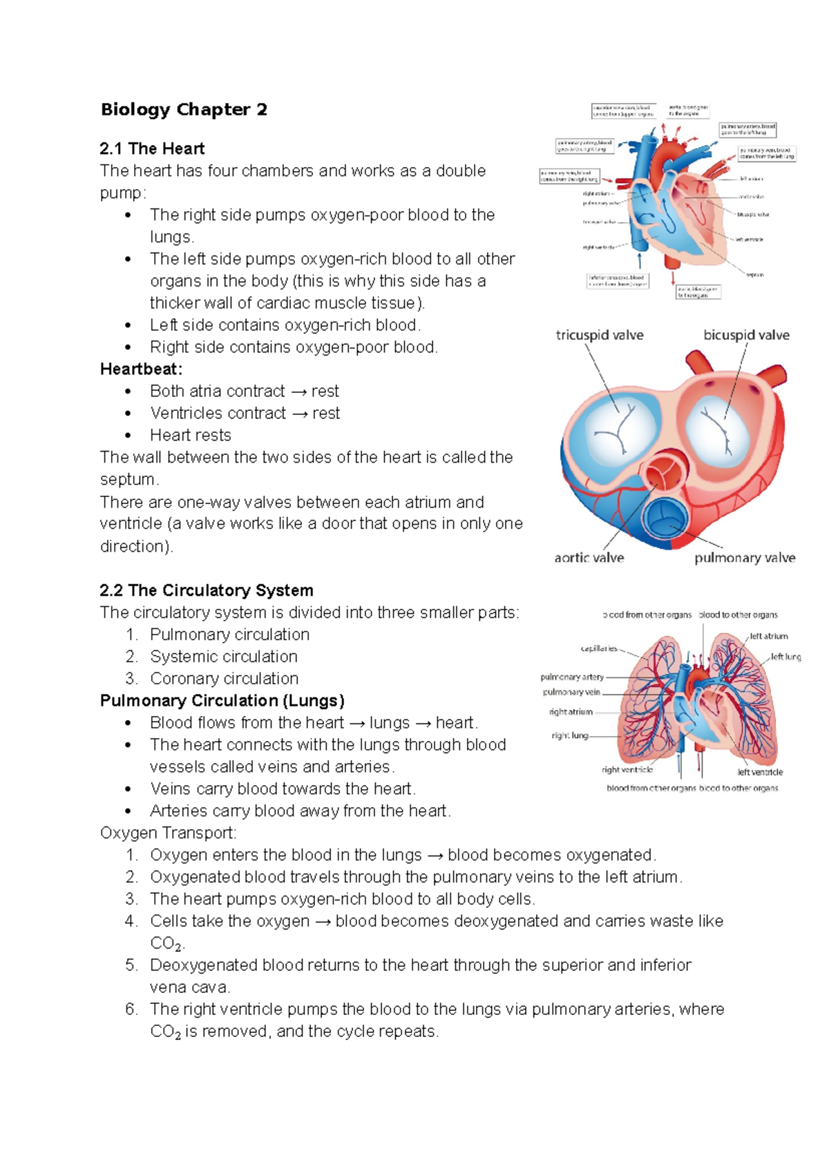 Biology 101 - Summary of Chapter 2: The Circulatory System - Studeersnel