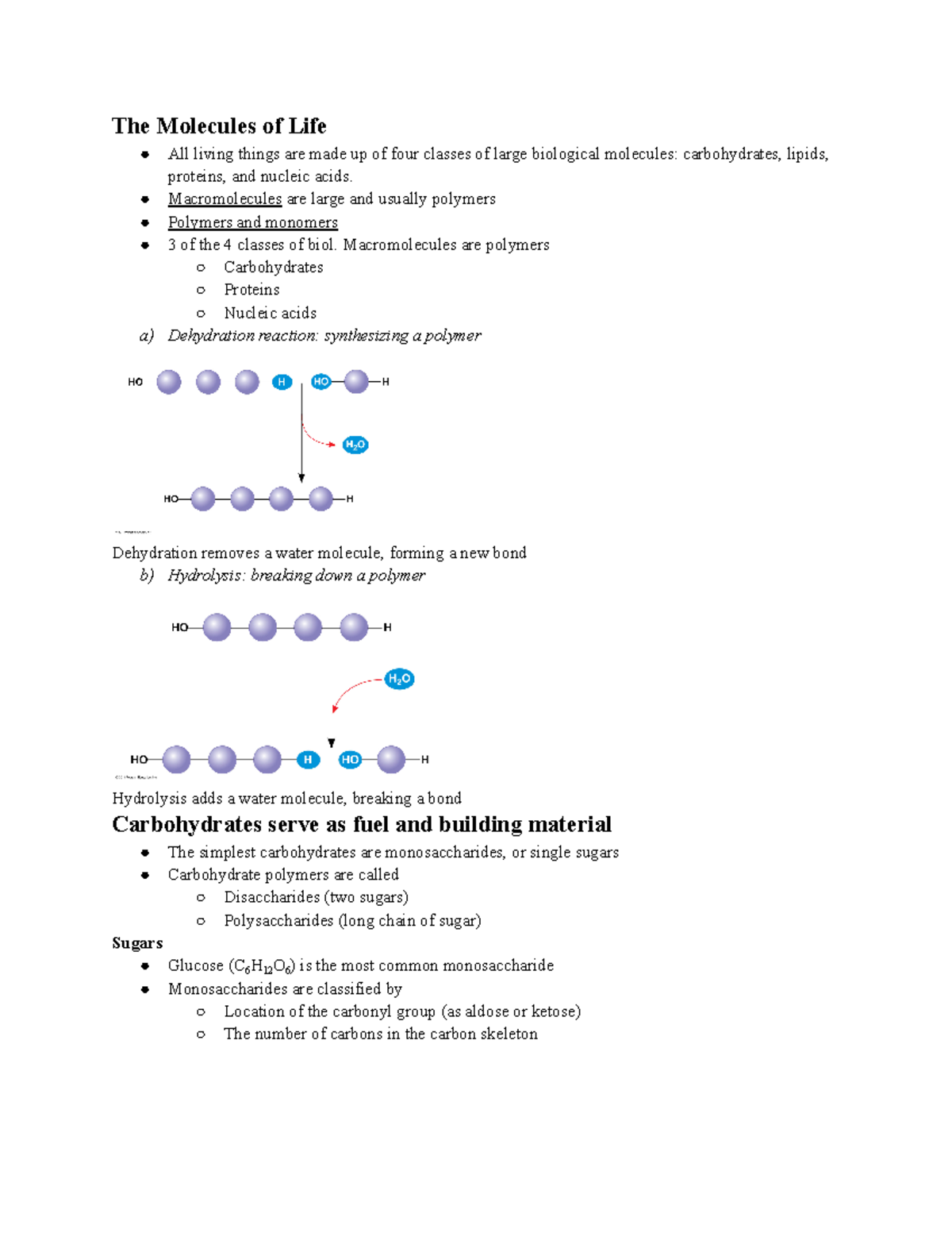 Bio lecture 5 notes - The Molecules of Life All living things are made ...